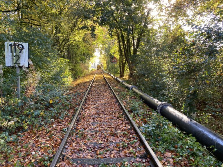 Startschuss - Wohnpark Spyck - Reppco